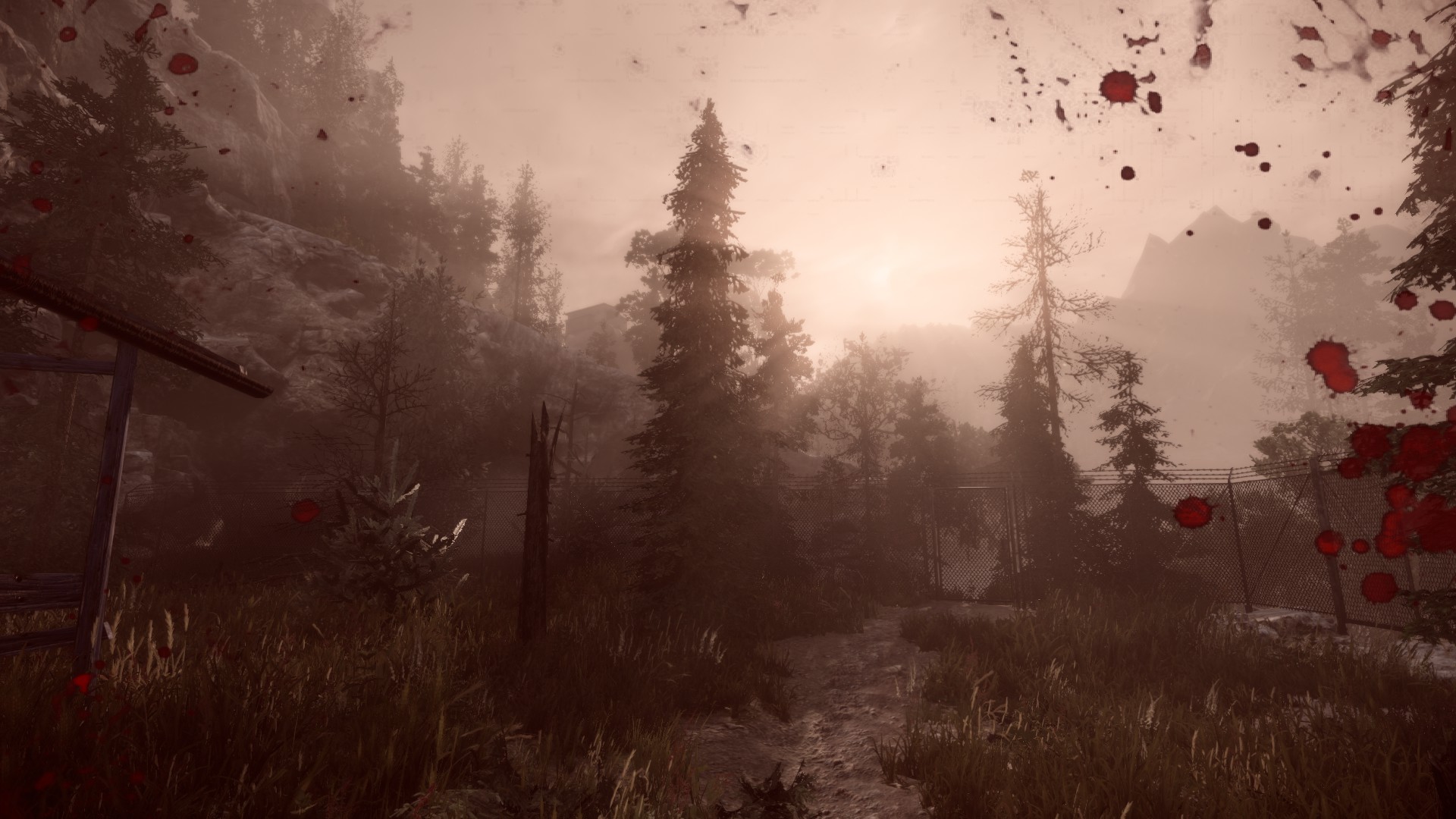 The Alien Cube Review: entre el sueño y la realidad - Bitwares